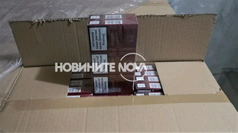 ГДБОП разкри още един склад за нелегални цигари СНИМКИ Престъпления Крими Новините на