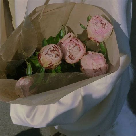 氛围感背景图ins（氛围感背景图高清） 知乎