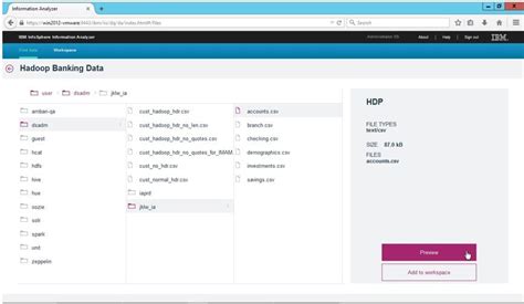 Ibm Infosphere Information Analyzer Reviews 2025 Details Pricing And Features G2