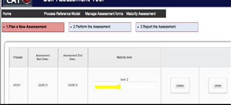 Figure 1 From Cat5 A Tool For Measuring The Maturity Level Of Information Technology Governance
