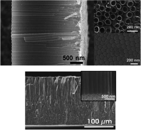 SEM Images Of TiO2 Nanotube Layers Formed By The Anodic Oxidation Of Download Scientific