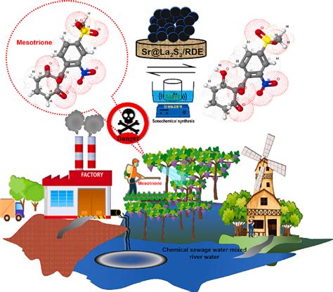 Scheme 1 Schematic Representation For The Electrochemical Sensors And Download Scientific