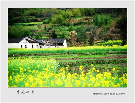 乡村四月水墨画 乡村四月古诗报 乡村四月板书 第3页 大山谷图库
