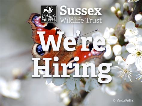 Site Manager West Sussex Wildlife Trust