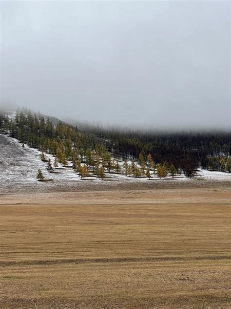 Todko ХӨХ АВДАР Ээжийн минь мэдэх хамгийн нууц газар Эмээгээс өвлөгдсөн “бухтай” авдарны
