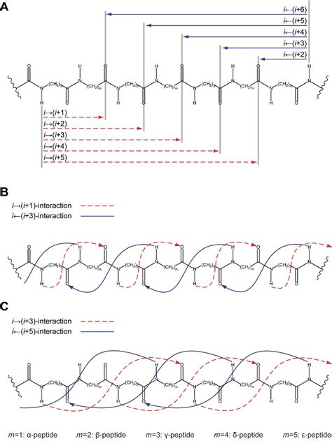 Figure 1 From Ab Initio Mo Theory An Important Tool In Foldamer Research Prediction Of