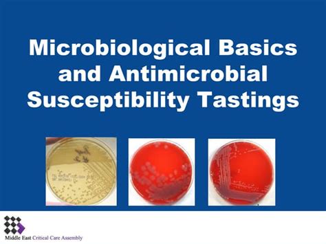 Microbiological Basics And Antimicrobial Susceptibility Tastings Pptx