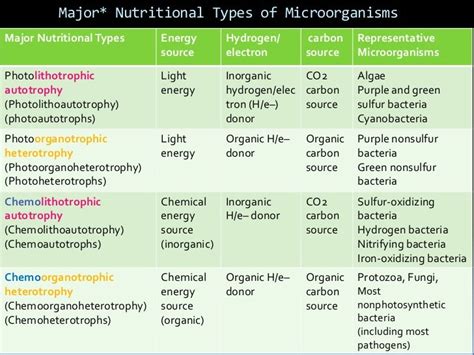 Nutritional Forms Of Microorganisms With Diagram Salmonella And