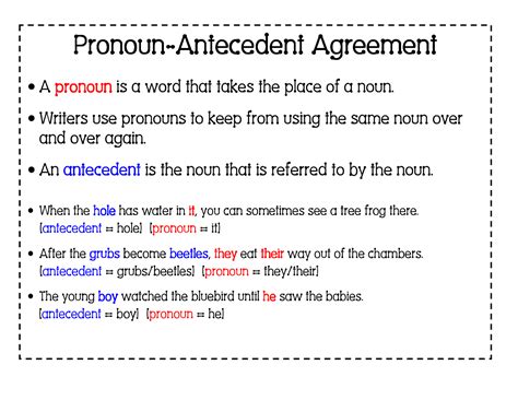 Pronoun And Antecedent Agreement Examples