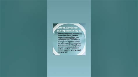 Дотоод шүүрлийн эрхтэн тогтолцоо🧠🫀 Youtube