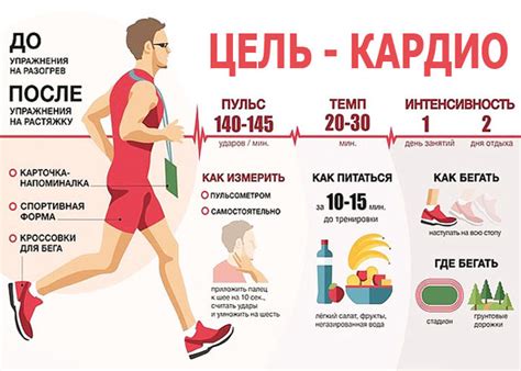 Самые эффективные упражнения для похудения Движение жизнь