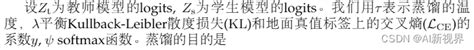 『论文精读』data efficient image transformers deit 论文解读 csdn博客