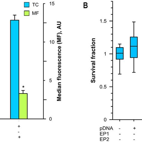 Effects Of Different Pulse Protocols On Transfection Efficiency And
