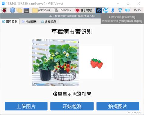 【基于物联网的智能草莓种植系统的设计与实现系列教程】8项目整体验证（课程设计、毕设项目、树莓派、yolov5、物联网） Csdn博客