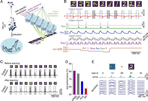 集智斑图 用知识连接探索者