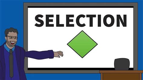 Selection Decision Making In Flowcharts Gcse Computer Science Youtube