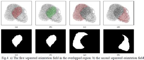 Separation Of Overlapped Fingerprints For Forensic Applications Open Access Journals