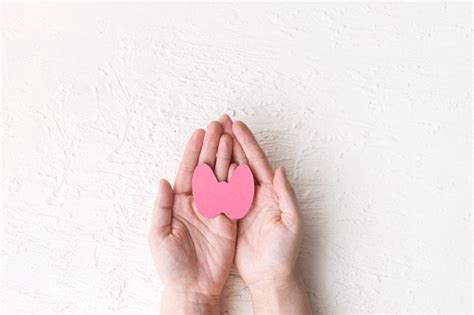 세계 갑상선의 날 여성의 손은 흰색 배경에 갑상선의 종이 형태를 잡고 갑상선 문제 다낭성 질환 세계 암의 날 복사 공간을