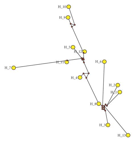 Network Obtained Based On A Gapsmissing Data Considered And B