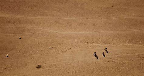 Drought Resilience Video Cultivate Communications