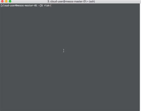 Riak Mesos Framework