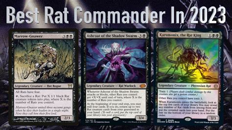 Best Rat Commander In 2023 Youtube