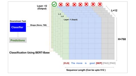 Binary Multi Class And Multi Label Text Classification W Bert Fine