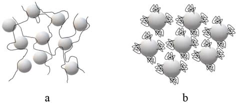 Models Of Polymer Bridging A Adsorbed Polymeric Chains In Equilibrium