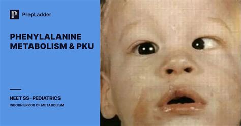 Phenylalanine Metabolism And Pku Symptoms Diagnosis Treatment