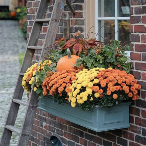 Fall Window Boxes For Your Home Aesthetic