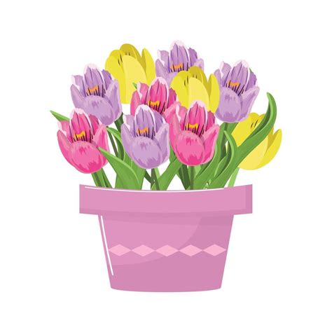 Vibrant Tulip Variety In Flower Pot Tulips In The Flower Pot 42391344