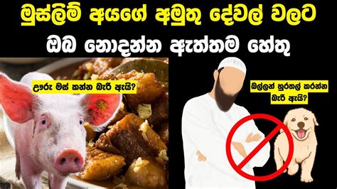 මුස්ලිම් ජාතිකයින්ගේ අමුතු දේවල් වලට හේතු ඇහුවොත් ඔබ විශ්මයට පත්වෙයි 5 Strange Things In