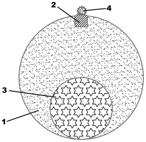 A Microsphere With Functionalized Spots On The Surface And Its