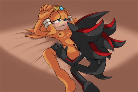 Post Shadow The Hedgehog Sonic The Hedgehog Series Strawberrycheesecake Tikal The Echidna