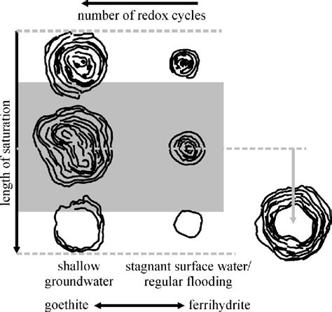 Major Nodule Types And Their Spatial Distribution Characteristics Under
