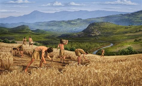 Agriculture In The Neolithic By José Emilio Toro Pareja Storia Greca