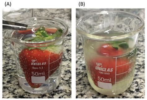 딸기 보관 기간 두 배로 늘리는 ‘석류 껍질 필름