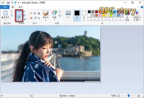 그림판으로 간단히 사진이나 이미지에 모자이크 처리하는 방법 Opc 스토리