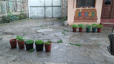 დღევანდელი დღე 🌧️🌧️🌧️ Youtube