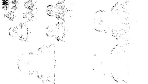 Masked Wavelet Representation For Compact Neural Radiance Fields