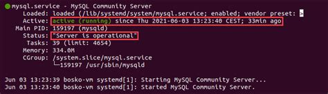 How To Install Mysql On Ubuntu 20 04 {5 Step Process} Phoenixnap