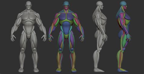 Character Base For Quick And Easy 3d Character Design Shapelab Character Base For Quick And Easy 3d Character Design Shapelab