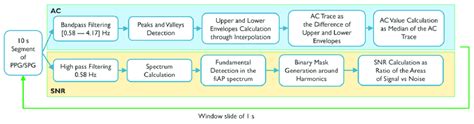 Processing Pipeline For Ac And Snr Calculation Download Scientific Diagram