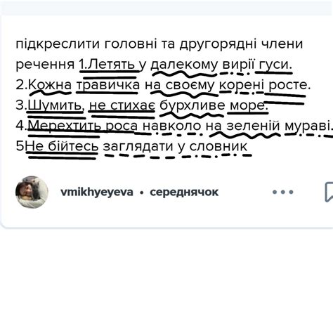 підкреслити головні та другорядні члени речення 1 Летять у далекому вирії гуси 2 Кожна травичка
