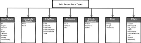 Common Data Types In Sql Explained Datatas