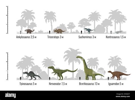 Dinosaur Size Chart