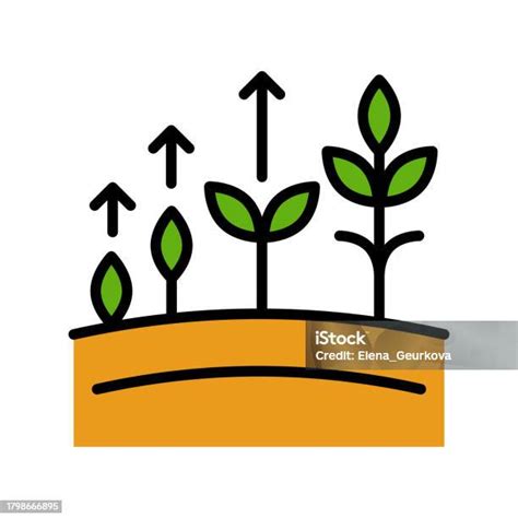 녹색 잎으로 자라는 나무 씨앗 비옥한 토양에서 자라는 어린 새싹 성장 단계 현대 스타일 컬러 벡터 일러스트 레이 션 성장 개념에