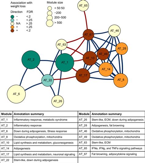 Correlation Network Analysis Reveals Several Metabolism Related Gene Download Scientific