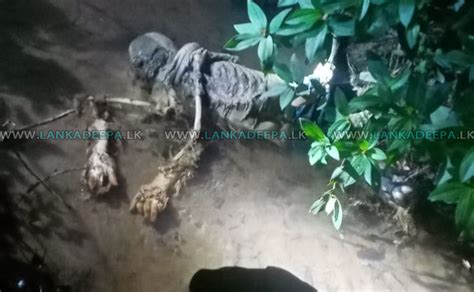 අතුරුදන් සෙබළාගේ සිරුර දින 6කට පසු ඇළකින් හමුවෙයි Lankadeepa Online