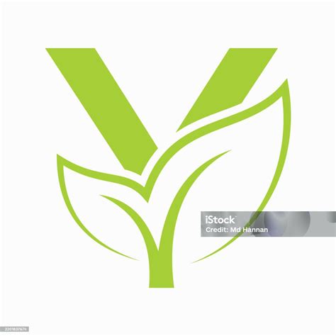 이니셜 편지 Y 잎 로고 개념 친환경 및 유기적 기호 벡터 템플릿 0명에 대한 스톡 벡터 아트 및 기타 이미지 0명 개념 건강한 생활방식 Istock